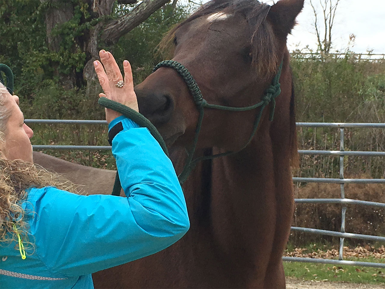 Kim-trains-with-Madrid—The-Equus-Effect-Training – The Equus Effect